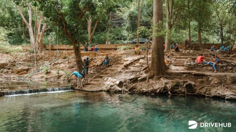 30 ที่เที่ยวเขาใหญ่โดนใจ ไปได้ทั้งครอบครัว | Drivehub