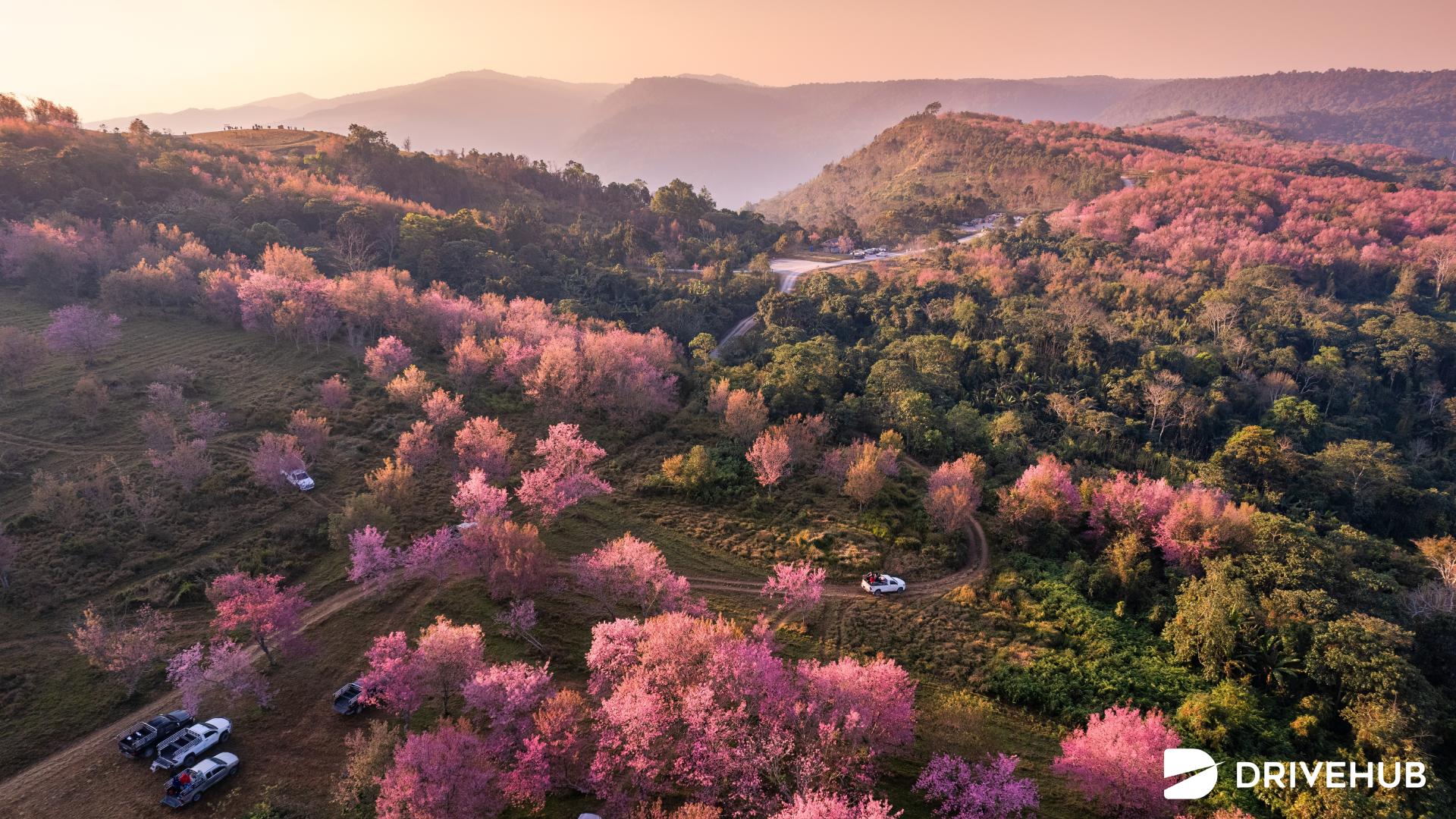 25 ที่เที่ยวเมืองรอง ใกล้กรุงเทพฯ! ใครยังไม่เคยลอง ต้องไป! | Drivehub